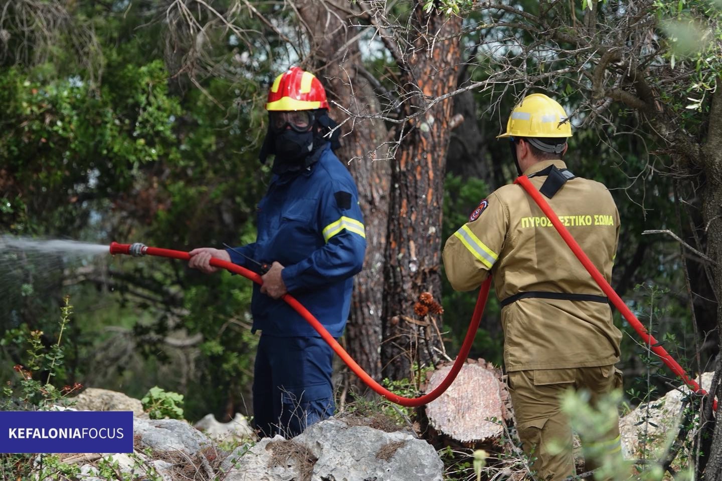 Π. Καππάτος: Νέα Προκήρυξη 52 Θέσεων Εποχικών Πυροσβεστών στην ...